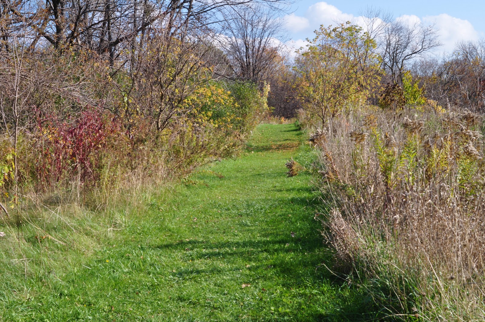 Hiking trails near Toronto: Malton Greenway Trail