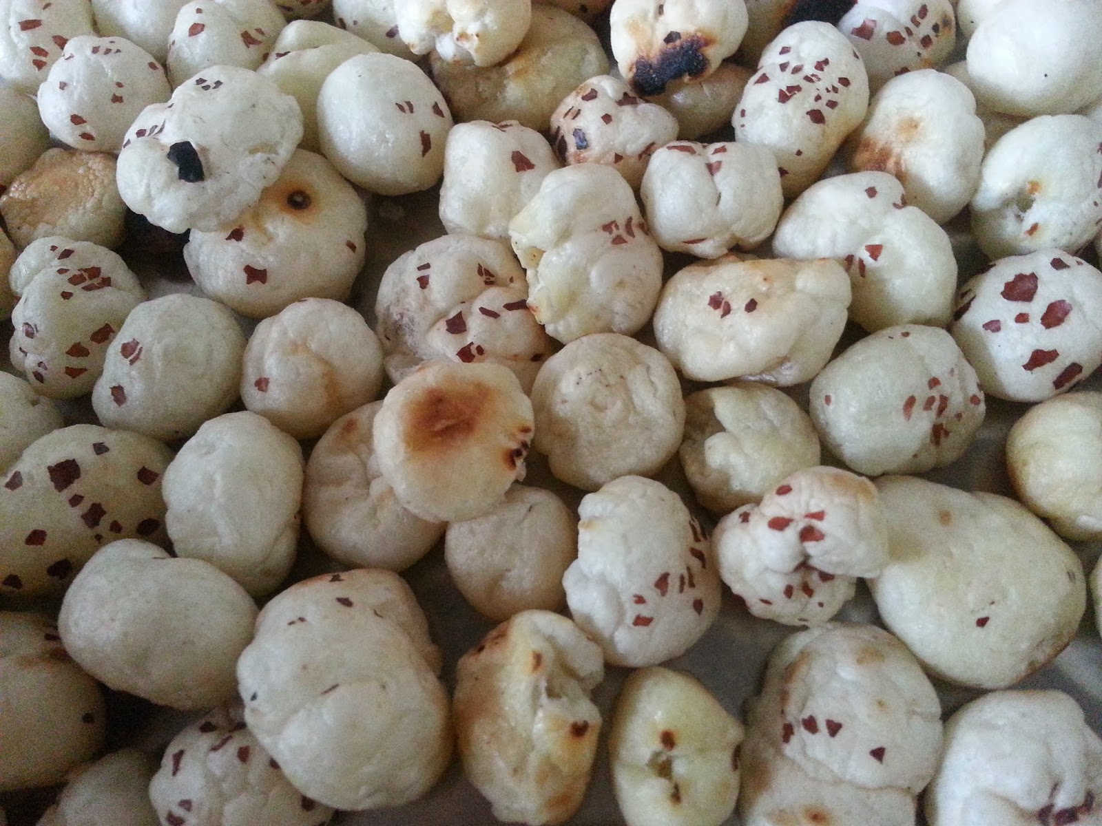 Makhane ke laddu ~ joy of cooking