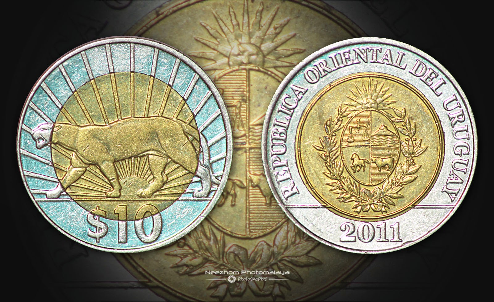 Bi-Metal coins collection ~ Neezhom