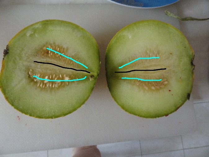 Geom Is The Bomb.Com: Angle Bisector