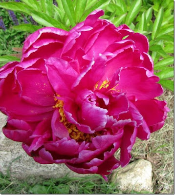 Top Blog Posts for 2015 | Rustic & Refined