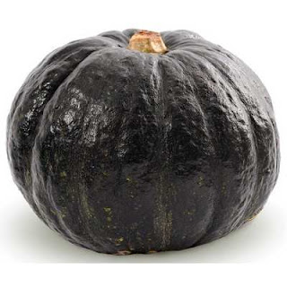 DIÁRIO COM A NATUREZA: 01 DE AGOSTO - ABÓBORA CABOTIA - FRUTO - FLOR ...