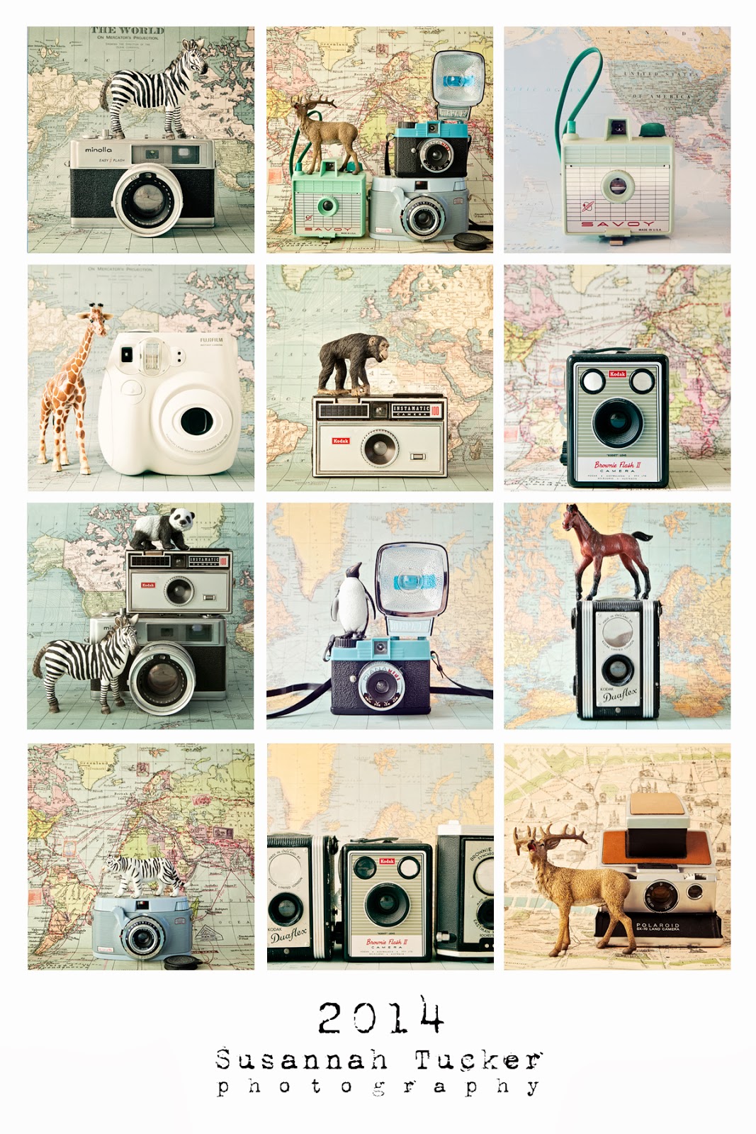 Susannah Tucker Photography: The Quirky Cameras - 2014 calendar