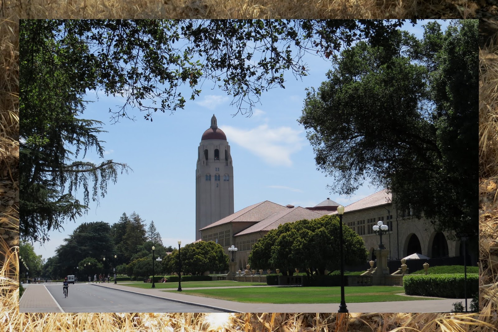 What to See When You Visit Stanford University