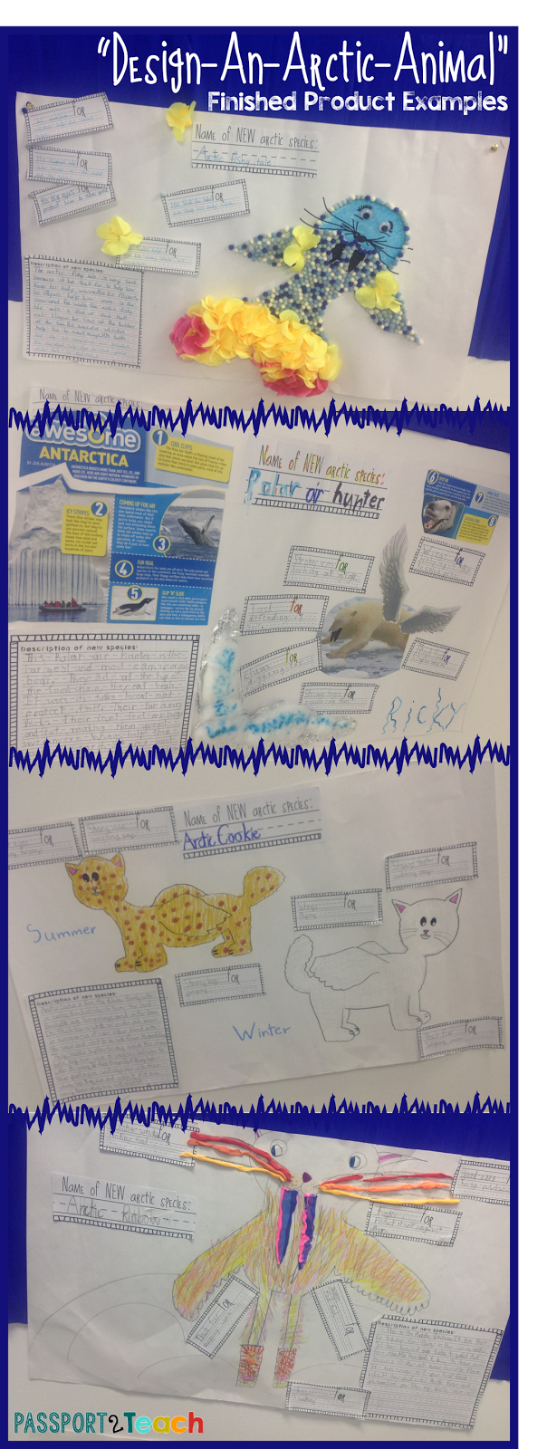Passport2Teach: Brrrrr! Arctic Animal Adaptations Gallery!