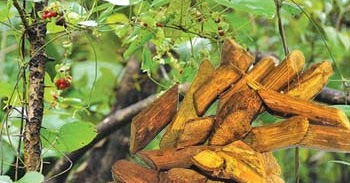 ගැටවලට අහු නොවි වෙනිවැල්ගැට වලින් ලස්සන වෙන්න tips 05 ක් ~ Lanka Hot ...