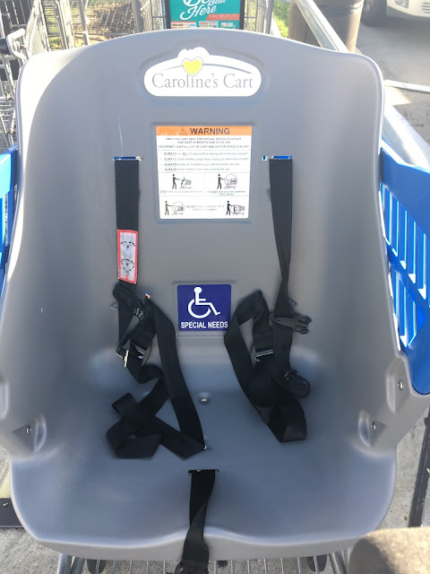 The Day We Found Caroline's Cart | A Joy Renewed