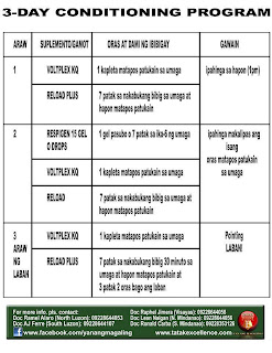 Sabong | Cockfight: 3 Day Conditioning