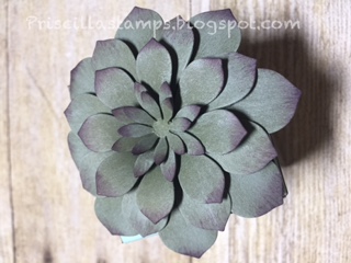 Priscilla's Papercrafts: Succulent Garden