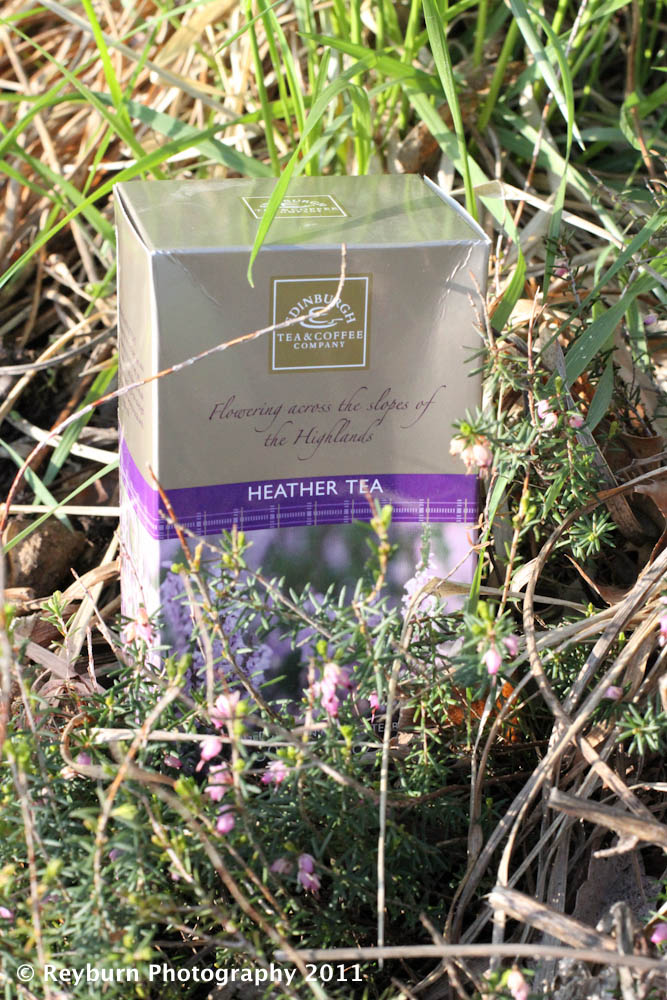 Tea In All Weathers: Day 29: Heather Tea