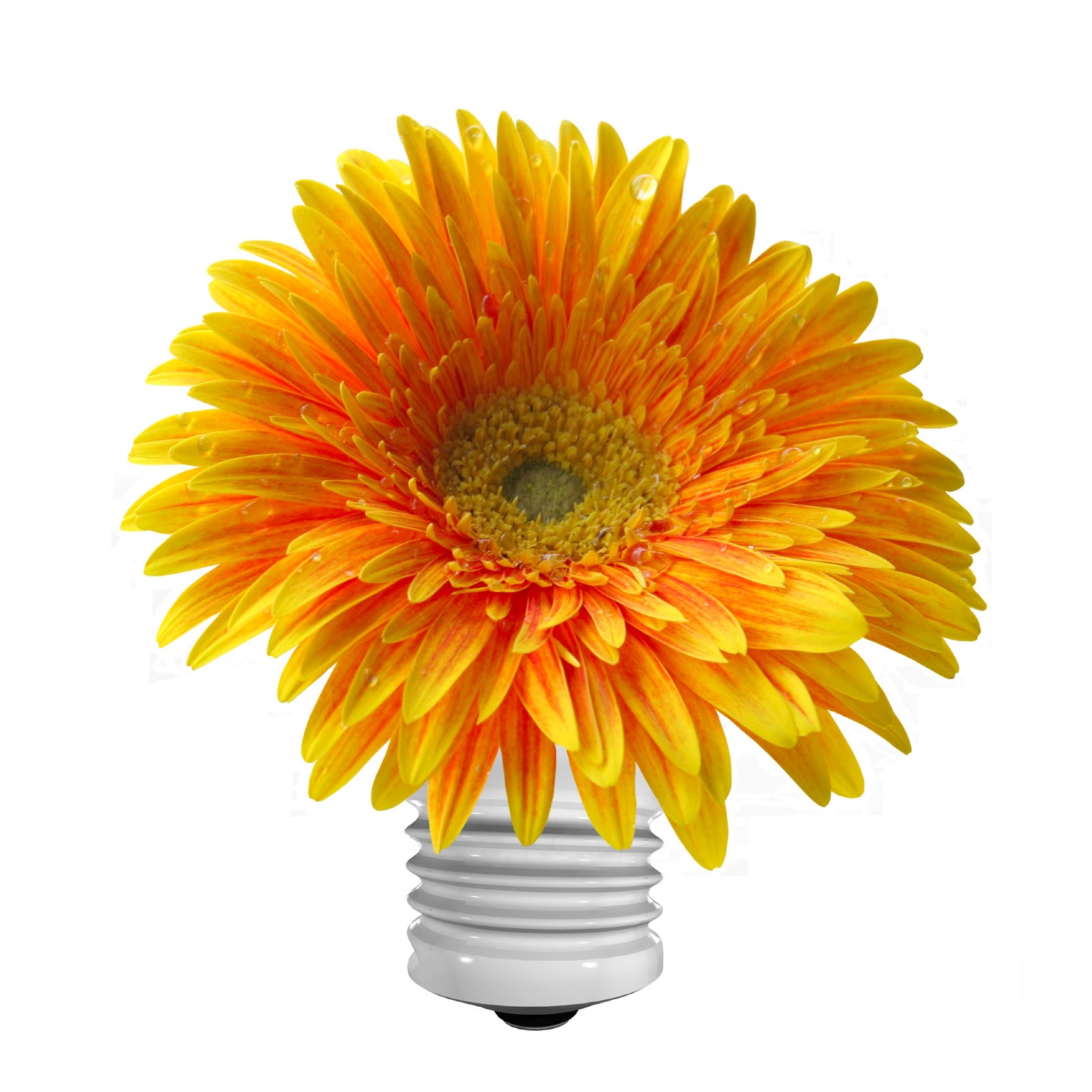 Intersection for Learning: 2013