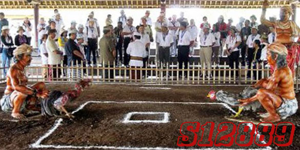 SABUNG AYAM: SEJARAH SABUNG AYAM TAJEN BALI