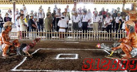 SABUNG AYAM: SEJARAH SABUNG AYAM TAJEN BALI