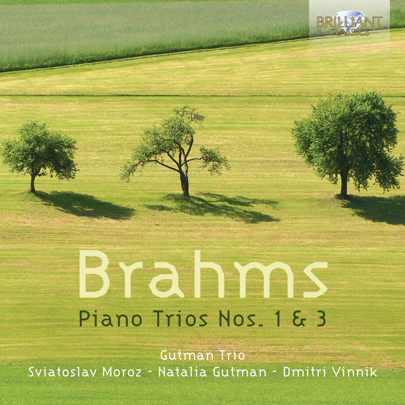 O SER DA MÚSICA: Johannes Brahms (1833-1897) - Piano Trios 1 & 3