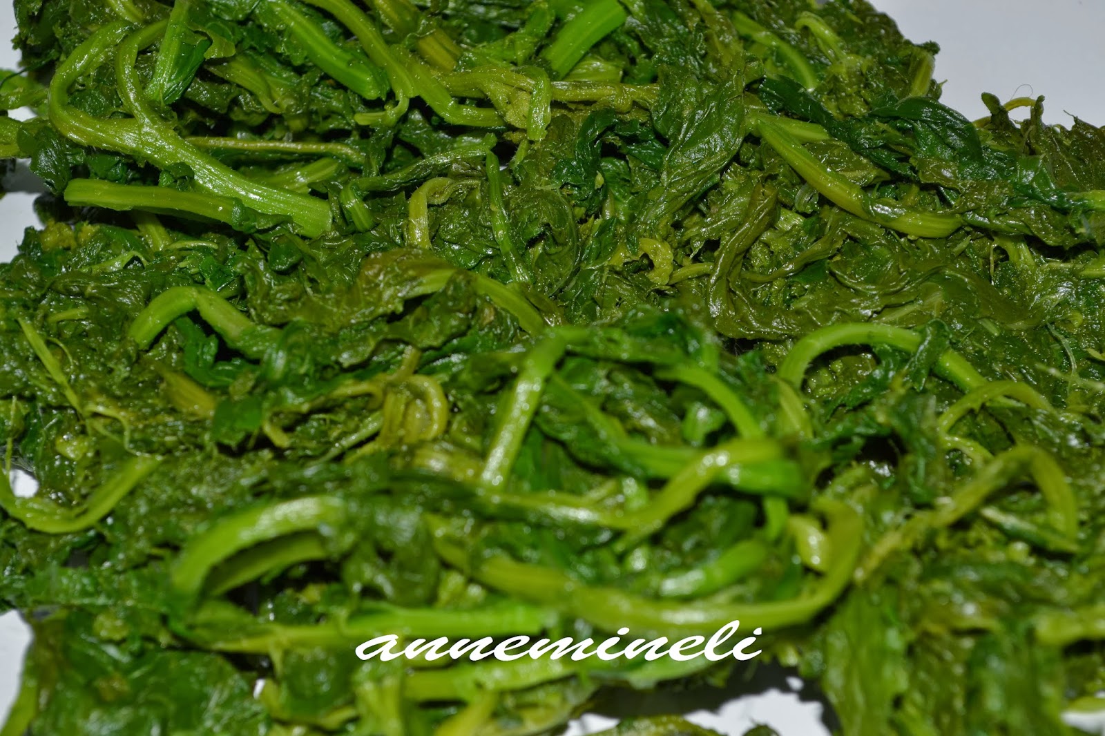 ANNEMİNELİ: HARDAL OTU SALATASI