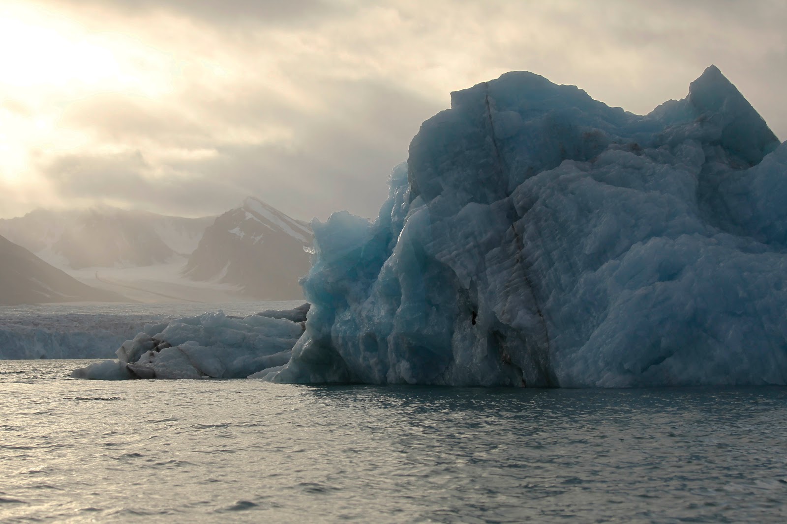 Svalbard Winter Portrait WallPaper - Gallery Blitz