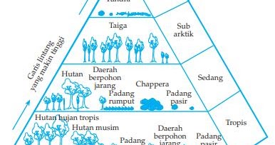 Fenomena Biosfer Serta Sebaran Hewan Dan Tumbuhan - Pustaka Belajar