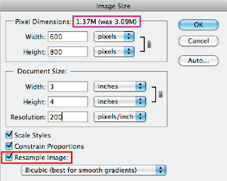 The Informed Illustrator: Digital Raster Image Resolution