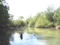 FelixOpel: Comuna HOLOD, judetul Bihor