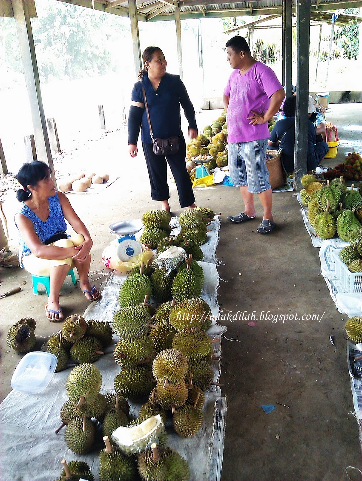 BeLoyaR Bersama Udak Dilah: DURIAN ~ Raja Buah di Beluru