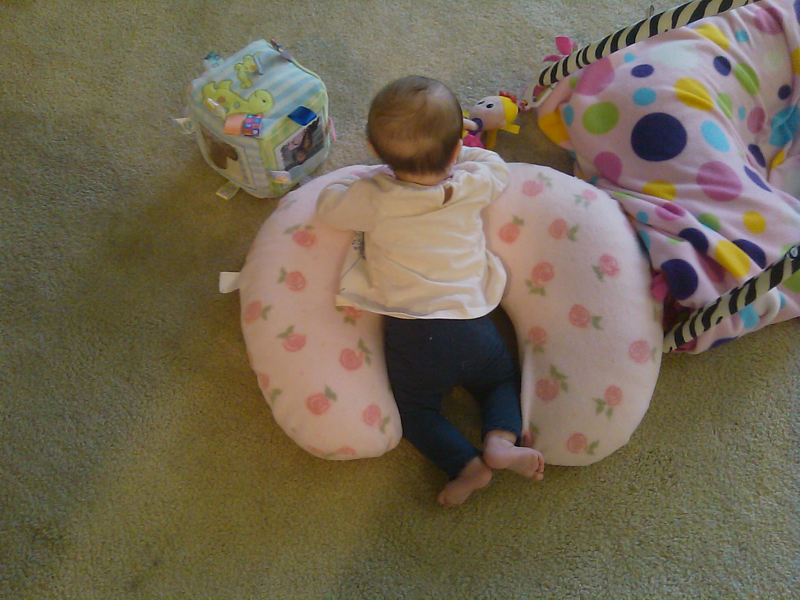 sweet smell of heaven: Cutest Little Tushy