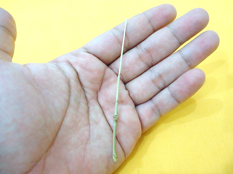 Pusaka Alam Ghaib Dan Mistik: BULUH PERINDU YALA THAILAND