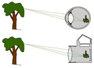 Betweens: Eye and Camera