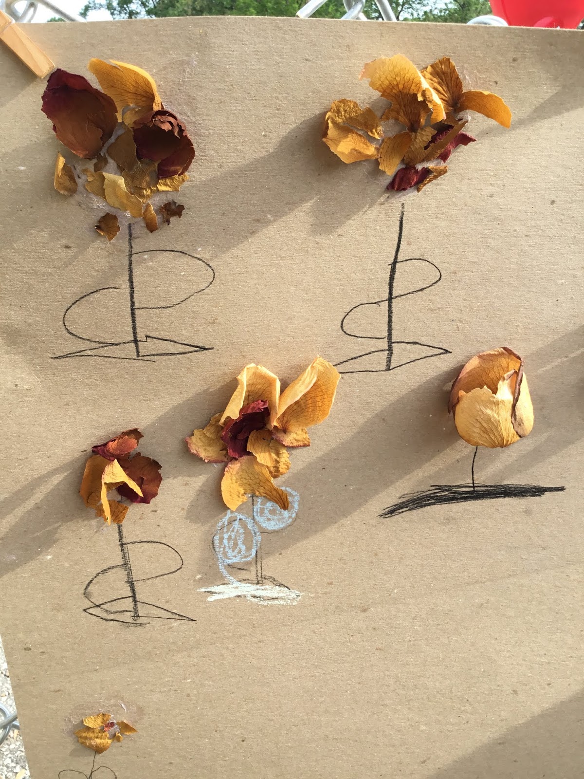 The Wonderful World of Kindergarten: Inspired by the rose petals