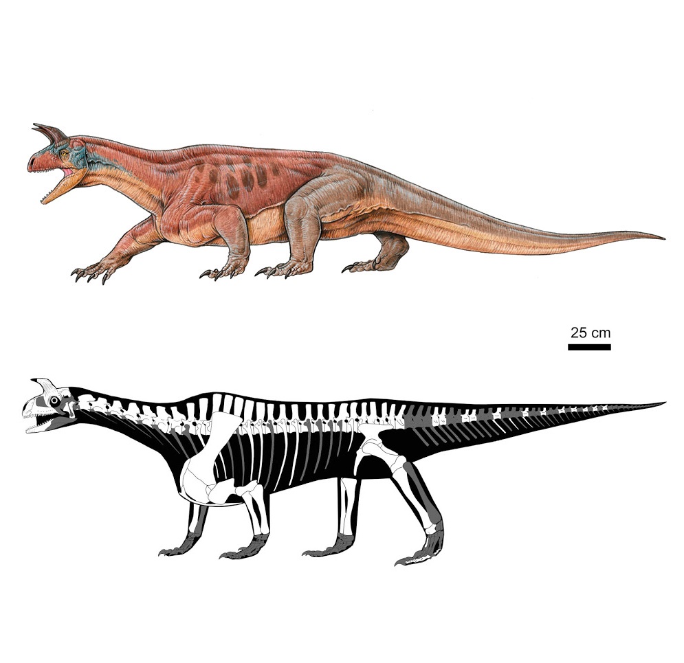 Species New to Science: [Paleontology • 2017] Shringasaurus indicus • A ...