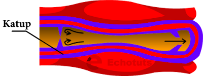 Pengertian dan Macam-macam Pembuluh Darah - Echotuts