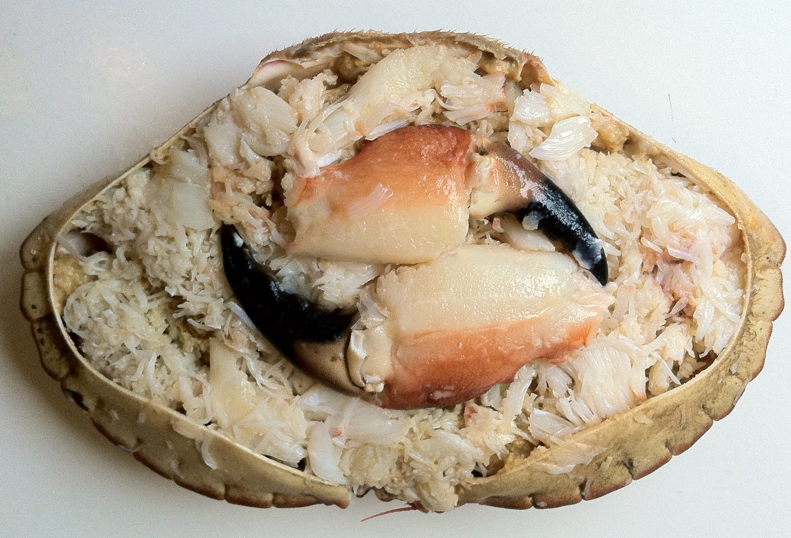 Food and Biscuits: Sunday night - Whitby crab on crostini with salad