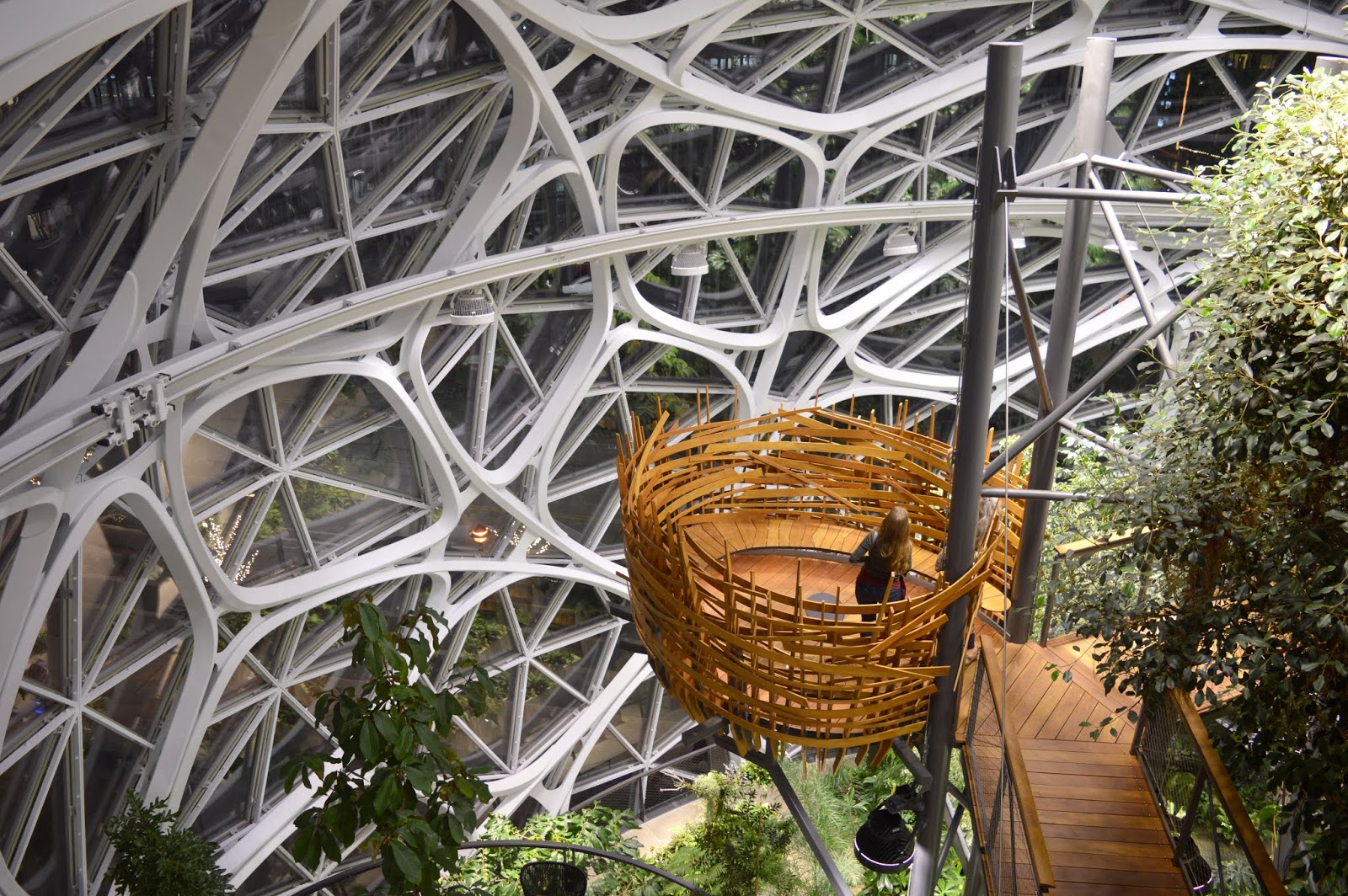 A Tour Of The Amazon Spheres in Downtown Seattle