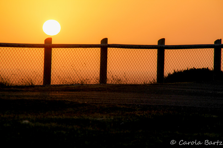 carola bARTz: Sunset Fence by the Sea