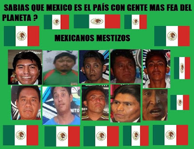 El mexiquense Hoy: ¿Quién es el mexicano promedio?