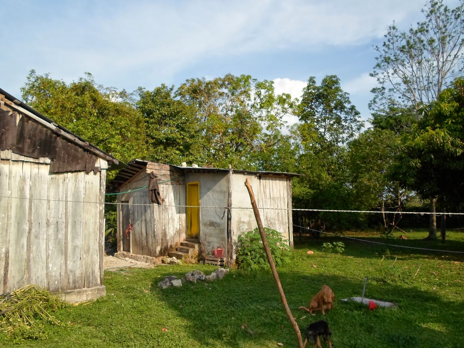 ELDER HUNTER DARREN DEVRIES