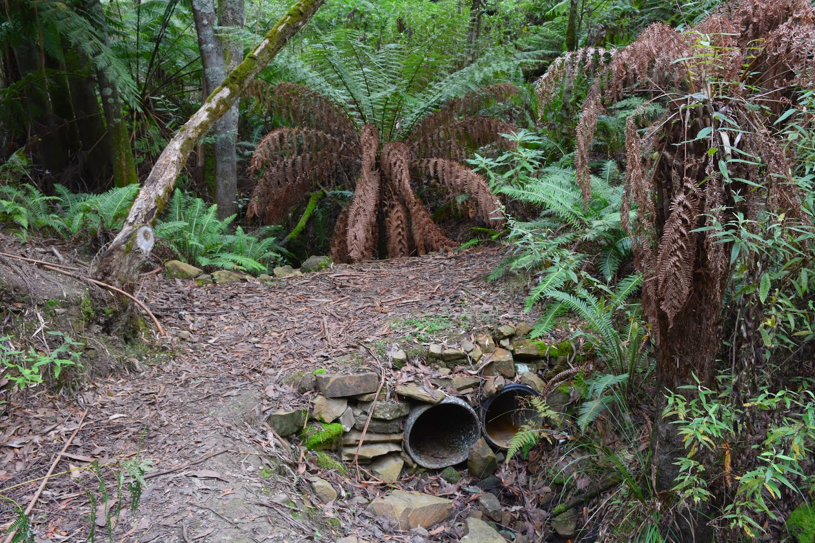 walkabouters club of victoria inc: Whipstick Loop, Blackwood