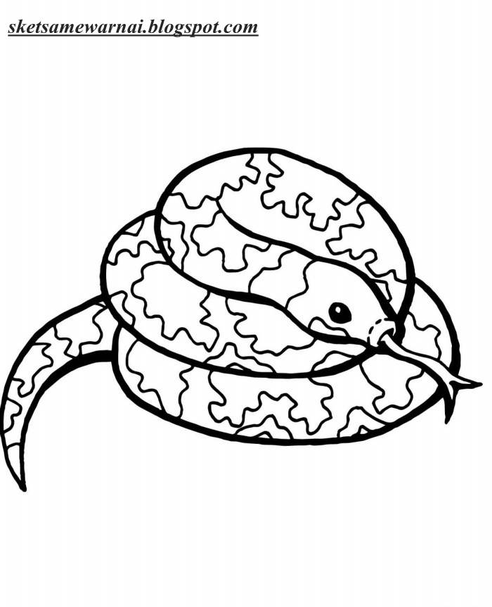 Ular Mewarnai Sketsa Gambarcoloring Terbaru Getcolorings Hewan ...