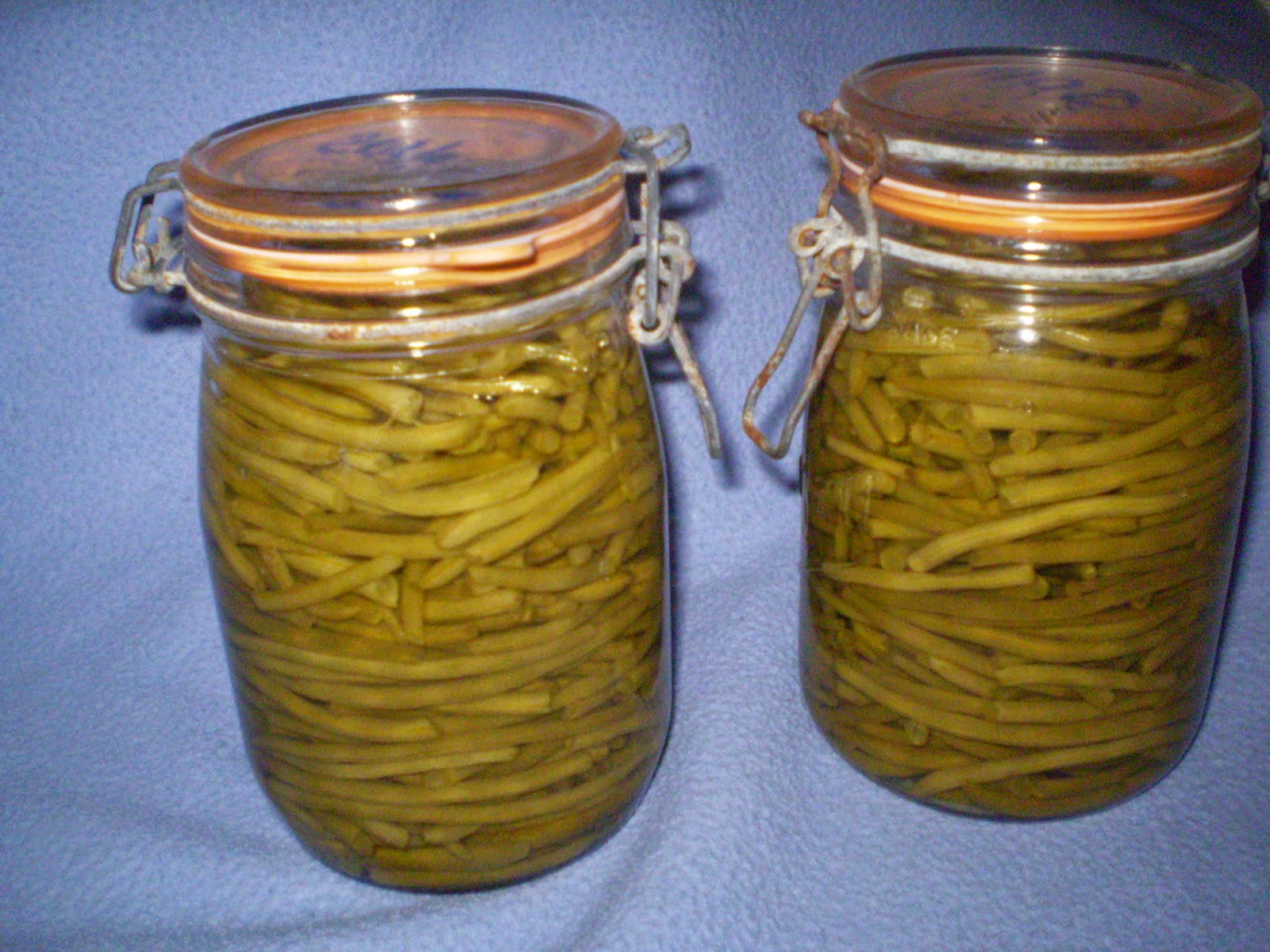 LES FOURNEAUX DE PHILO: haricots verts en conserve