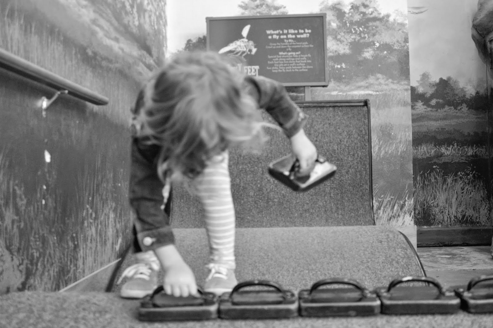 pearl + honey: Austin Science + Nature Center