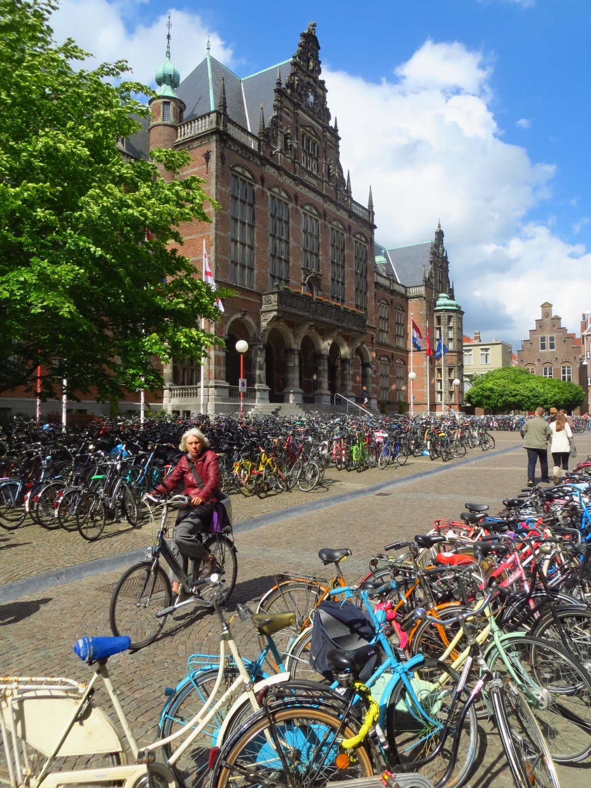 RedTandem.net: Bicycling in the Netherlands: an Amazing Experience