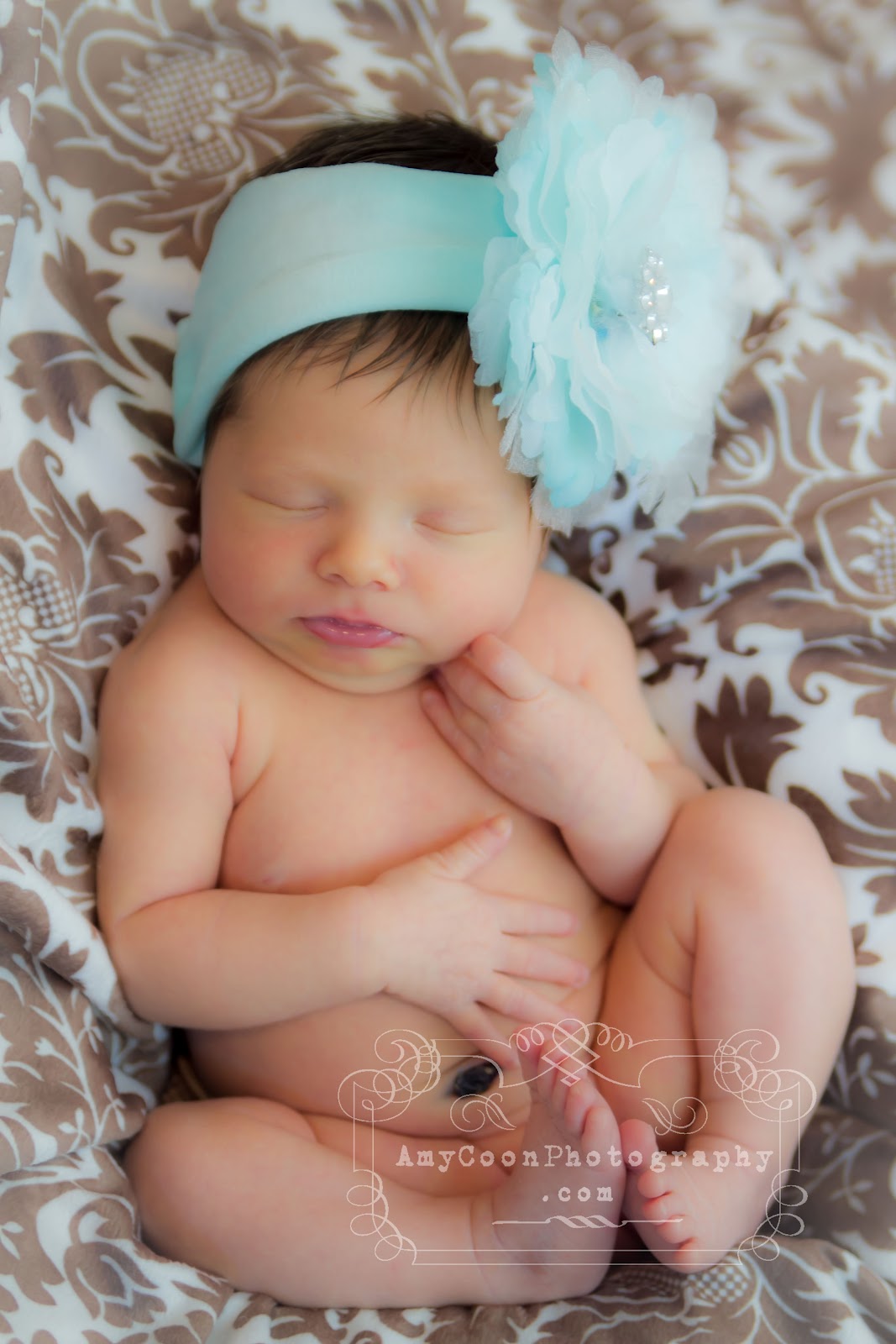 Amy Coon Photography