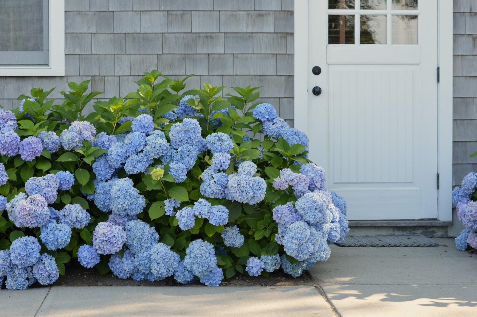 citrus and style: My Trip to the Hamptons