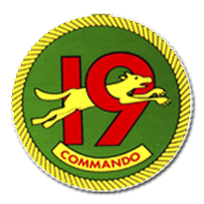 19 Bn - 8th Infantry Division