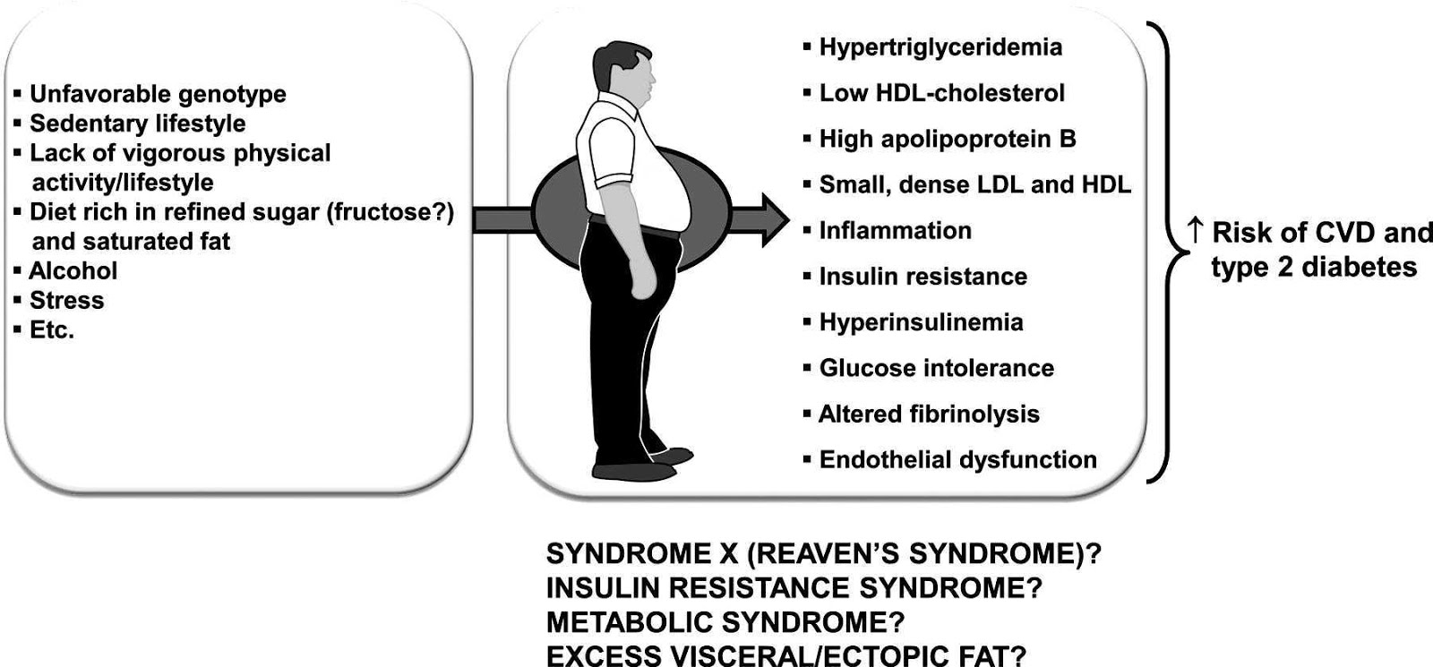 Android fat distribution