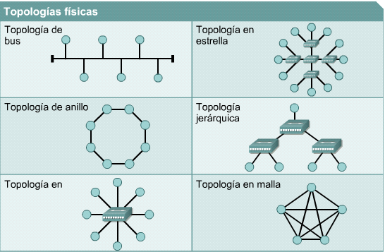 Aprendiendo de las Redes: Topologias