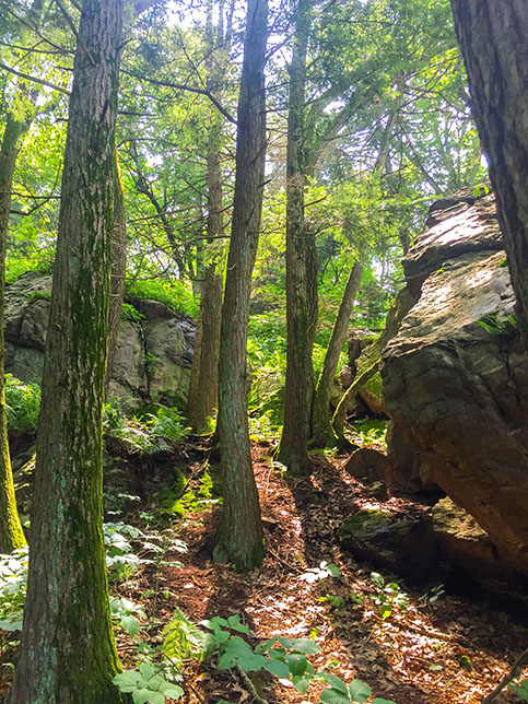 Hiking Ablemans Gorge