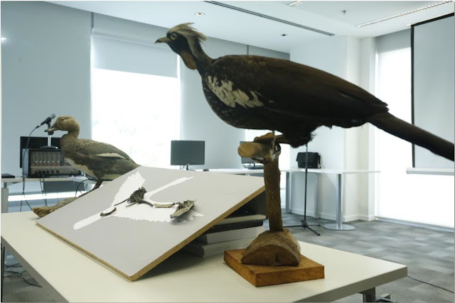 MI CIUDAD Y LA ANTÁRTIDA LLEGAN A LA ESCUELA: Un sonido de 70 millones ...