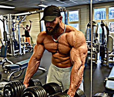 world bodybuilders pictures: kosova bodybuilder Besim Trena