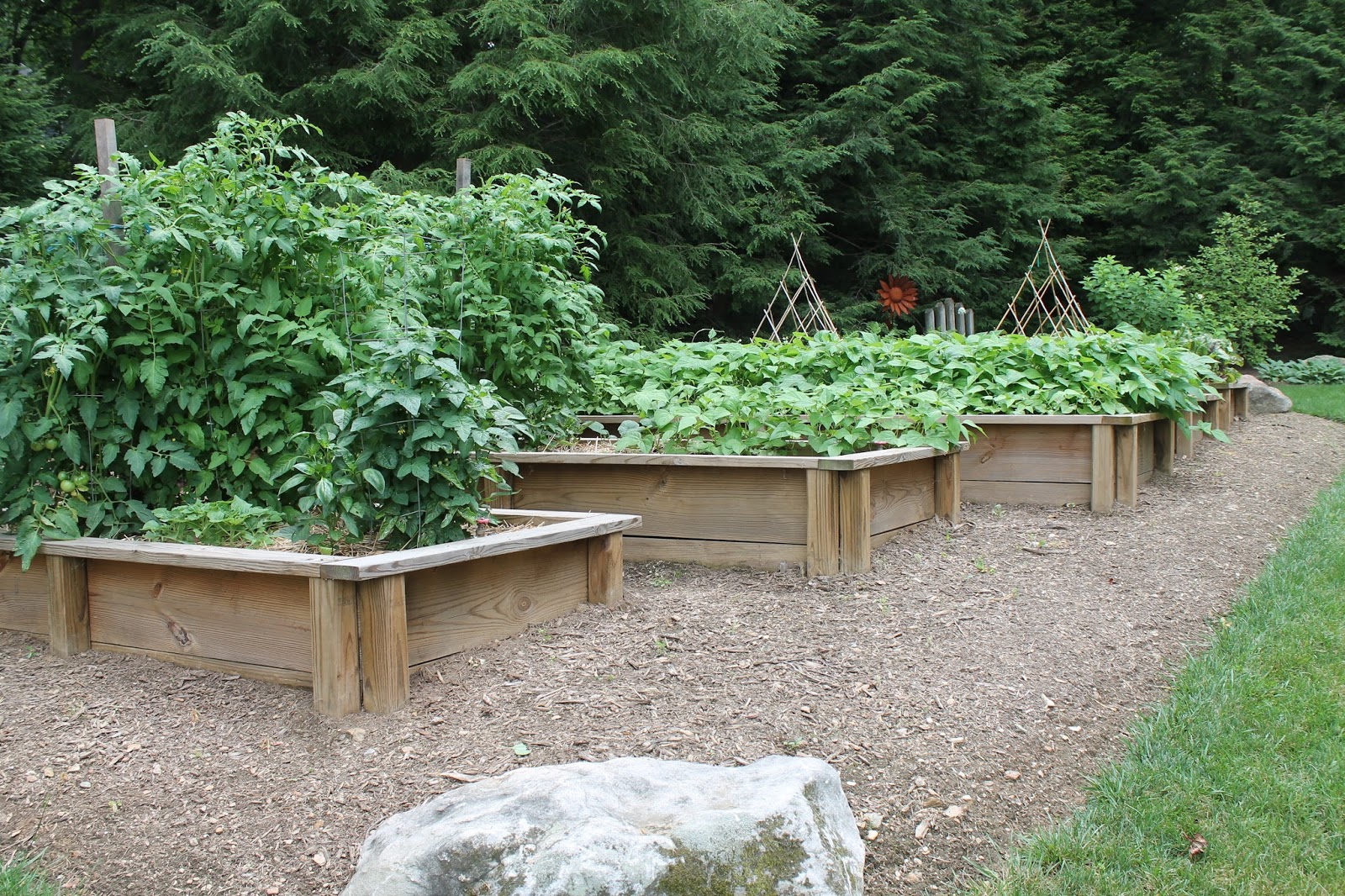 Elizabeth & Co.: August Garden Party