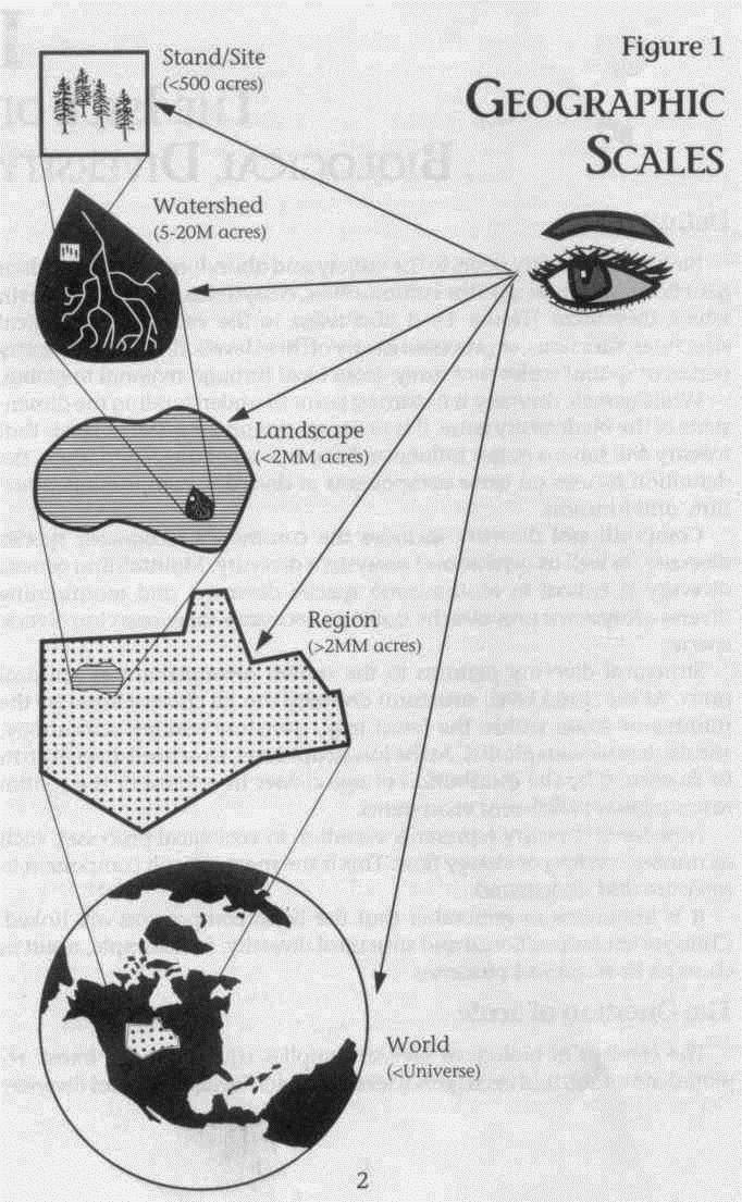 research: Keanekaragaman Hayati (Biodiversitas)